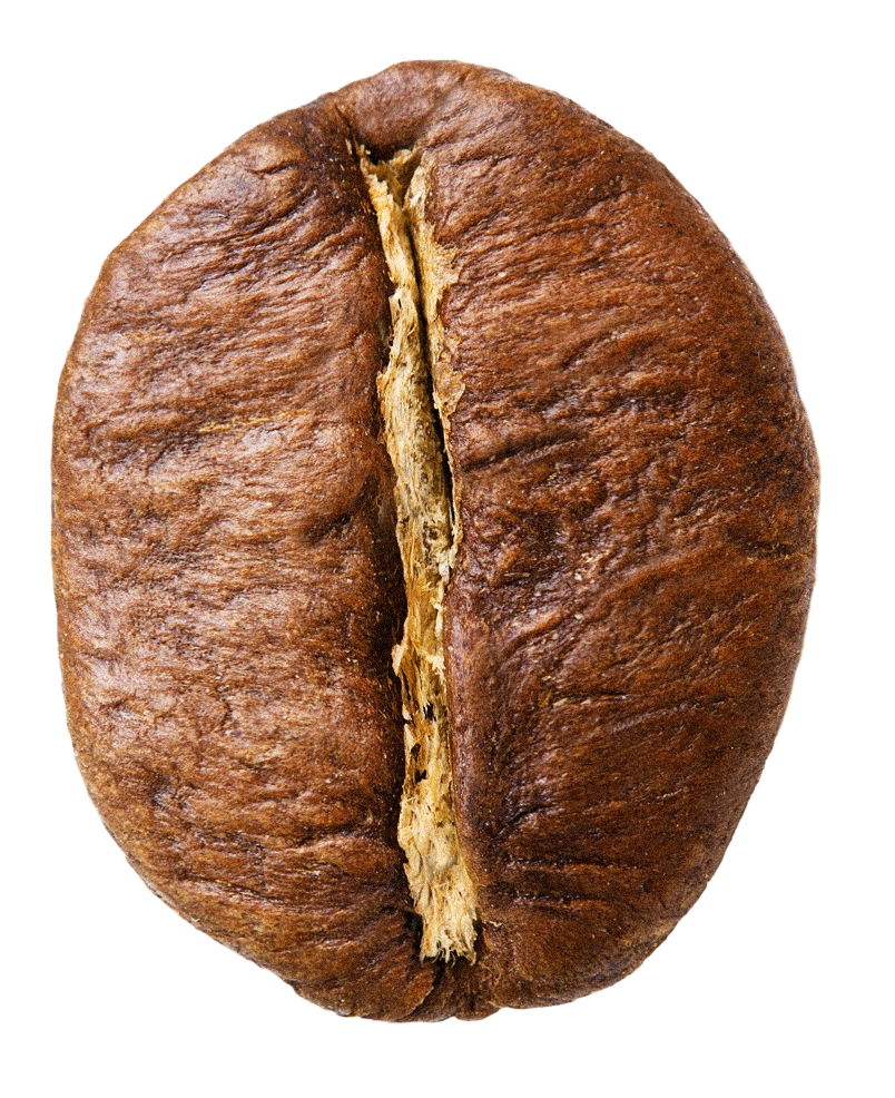 Varietales – Caficultura Panamá